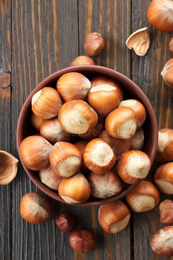 Hazelnuts stock image. Image of organic, dark, closeup - 38078989