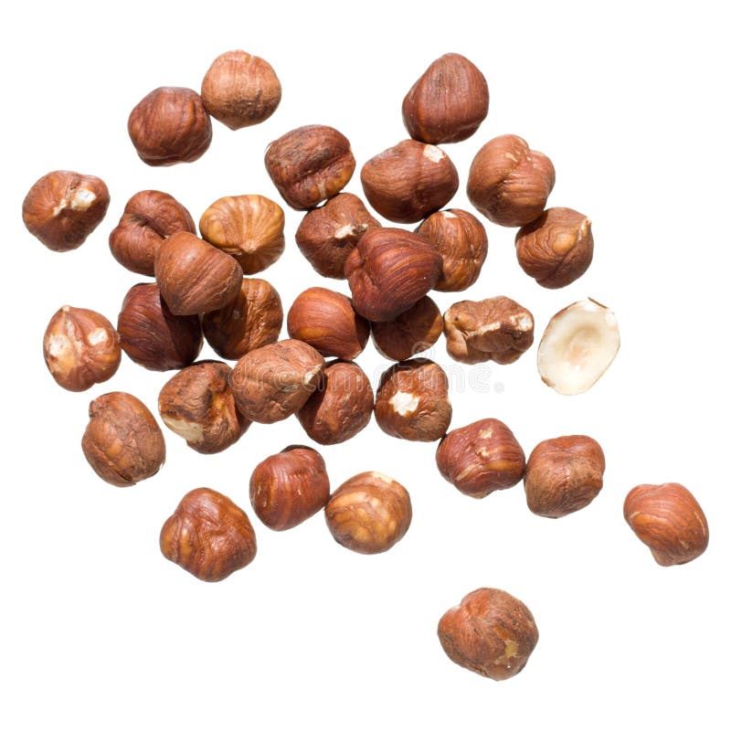 Hazelnuts stock photo. Image of healthy, isolated, hazelnuts - 5648170