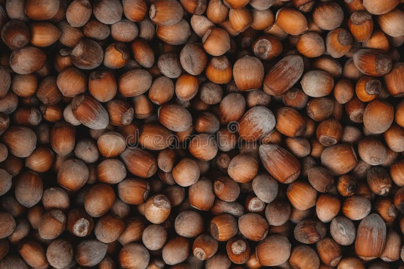 Hazelnuts As a Background Texture Image. Top View Stock Image - Image ...