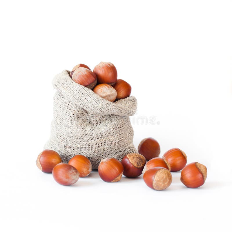Hazelnuts in bag stock photo. Image of eating, nourishing - 37801102