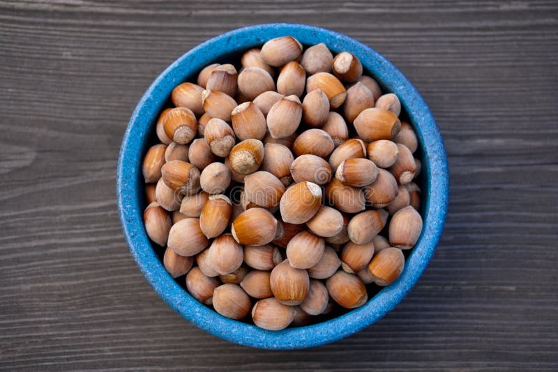 Hazelnuts in a blue bowl stock image. Image of bean - 248397243