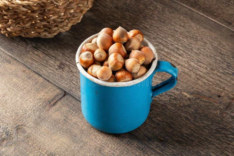 Hazelnuts in a Blue Pot on a Table Stock Photo - Image of nature ...