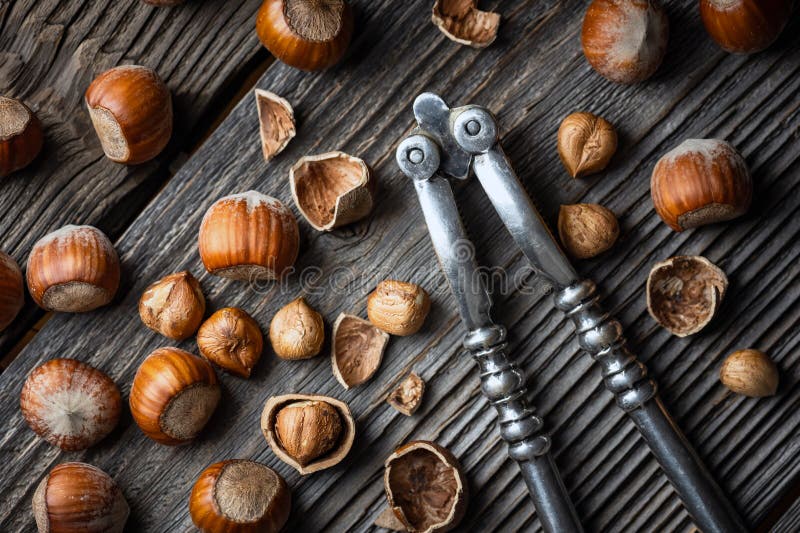Hazelnuts with a Classic Silver Nutcracker on Wooden Table Stock Image ...