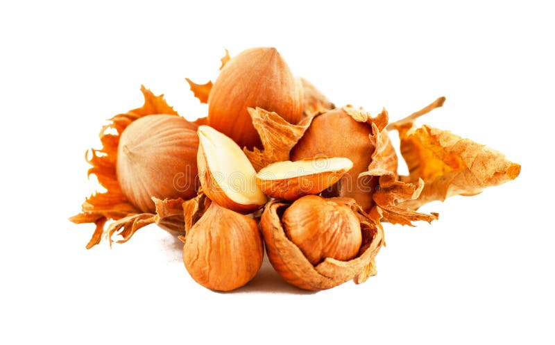 Hazelnuts Cracked and in Shell Stock Image - Image of gourmet ...