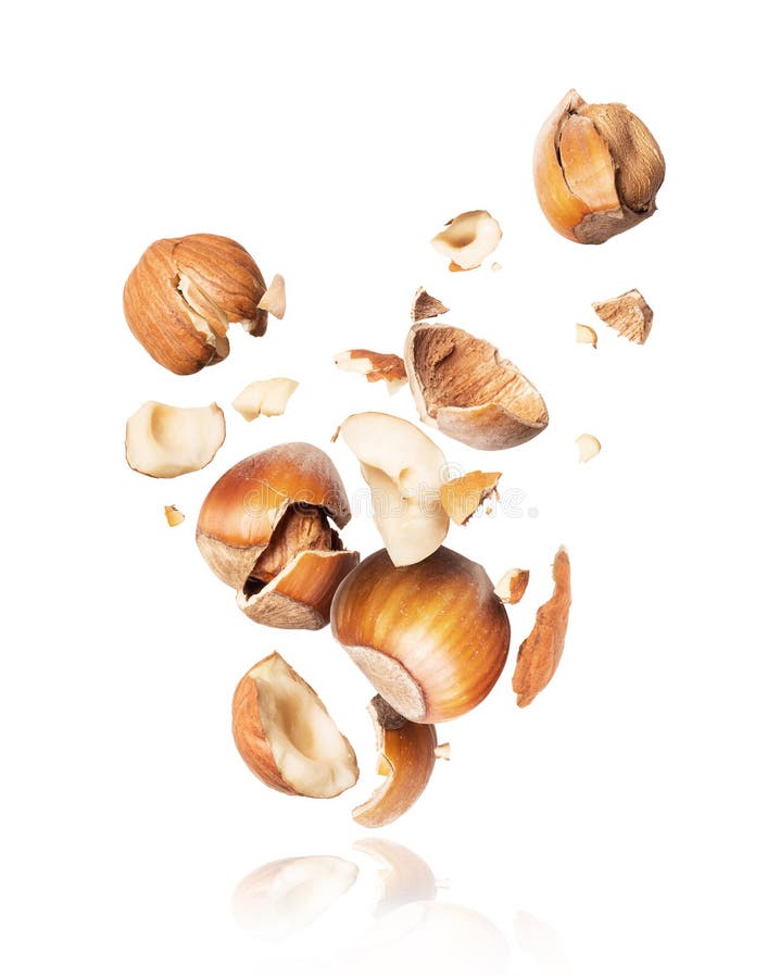 Hazelnuts Crushed into Pieces, Frozen in the Air on a White Stock Image ... Hazelnuts Crushed into Pieces, Frozen in the Air on a White Stock Image ...