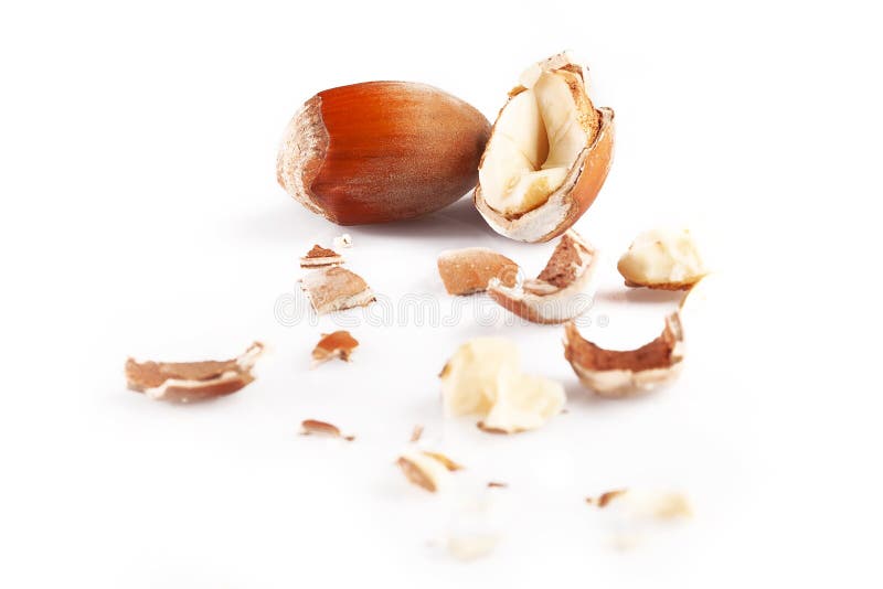 Hazelnuts Crushed into Pieces, Frozen in the Air on a White Stock Image ... Hazelnuts Crushed into Pieces, Frozen in the Air on a White Stock Image ...