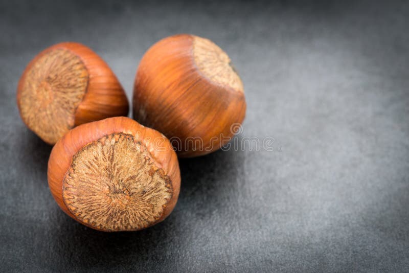 Hazelnuts on a Dark Background. Stock Image - Image of nutty, nutshell ...