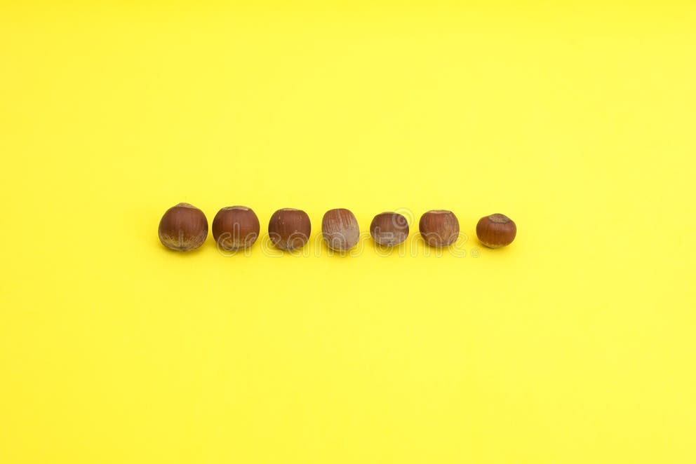 Hazelnuts of Different Sizes on a Yellow Background Stock Photo - Image ...