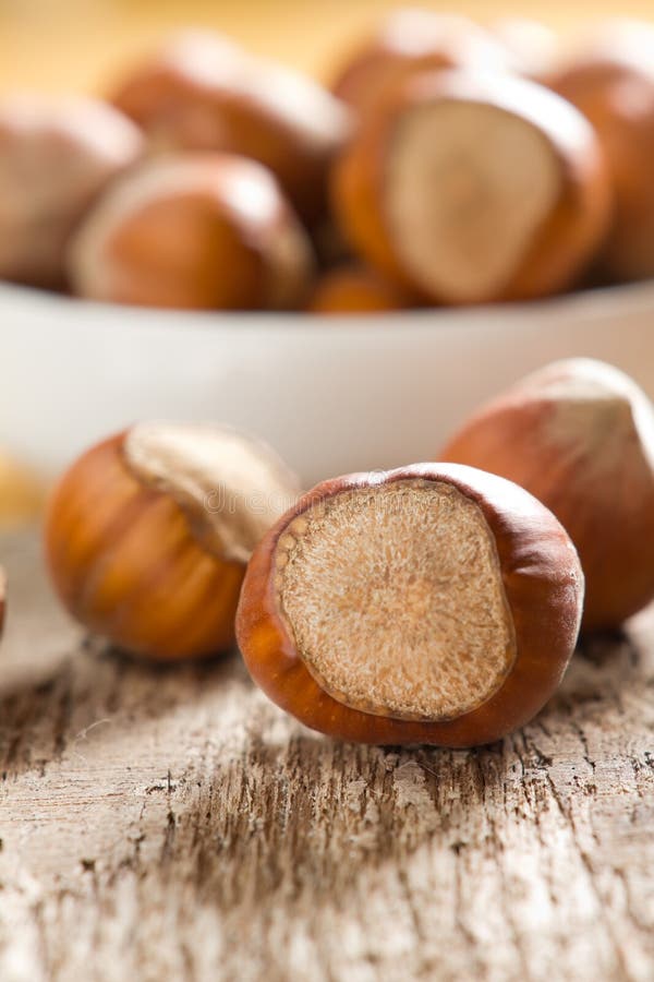 Hazelnuts (filbert) stock photo. Image of natural, nature - 25504428