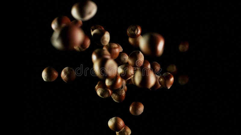 Hazelnuts Flying after Being Exploded. Pile of Tree Nuts Bouncing and ...