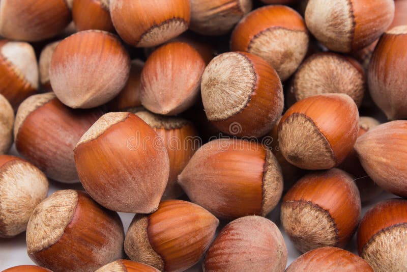 Hazelnuts. Food Background, Photo Wallpaper. Stock Photo - Image of ...