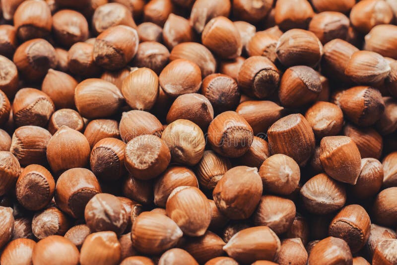 Hazelnuts. Food Background, Wallpaper Stock Photo - Image of nutty ...
