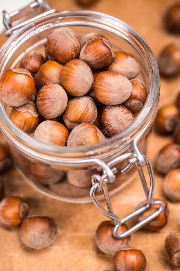 Hazelnuts stock photo. Image of glass, food, brown, close - 60368204