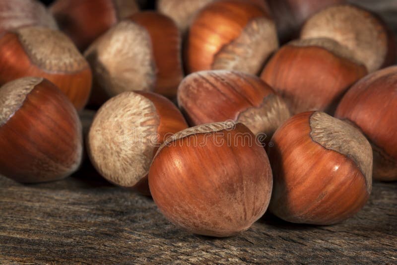 Hazelnuts stock photo. Image of cluster, food, seed, filbert - 32686212
