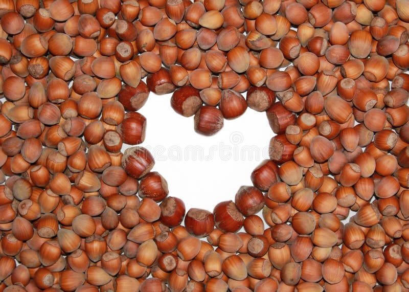 Hazelnuts and Heart Shaped Copy Space Stock Image - Image of ingredient ...