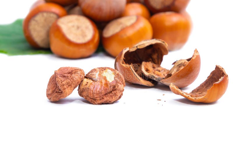 Hazelnuts isolated stock image. Image of organic, healthy - 205884891