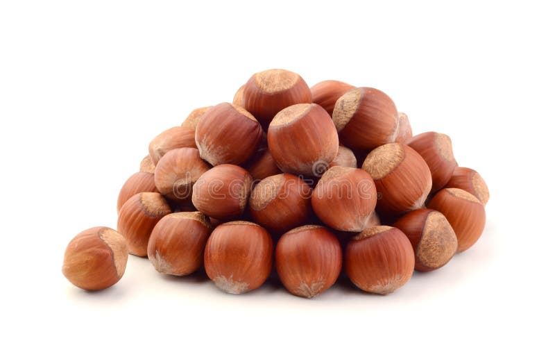 Hazelnuts Isolated on White Stock Photo - Image of antioxidant, hazel ...