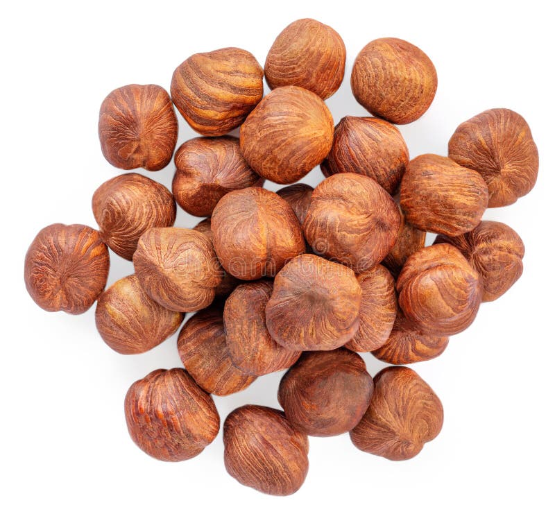 Hazelnuts Isolated on White Background. Hazelnut Macro Stock Image ...