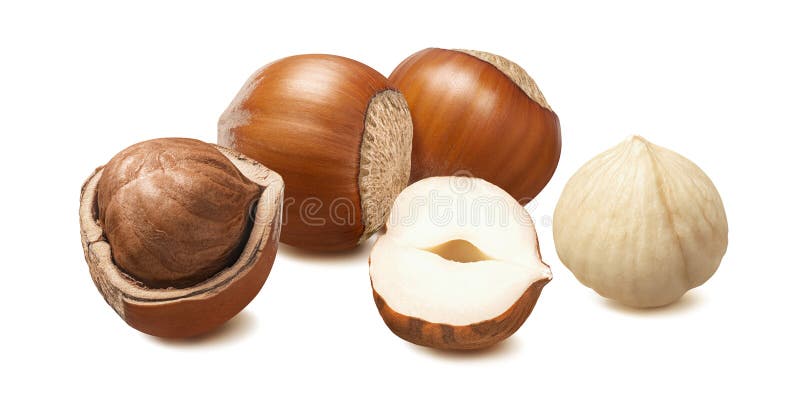 Hazelnut Horizontal Composition 9 Isolated on White Background Stock ...