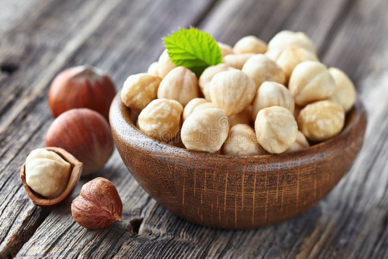 Hazelnuts kernel stock photo. Image of brown, white, hard - 44064848