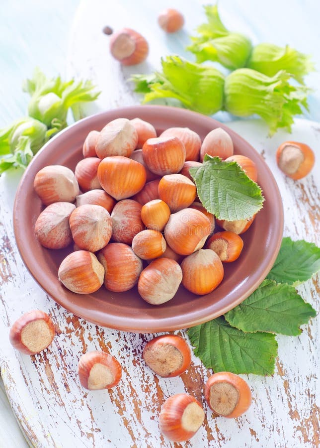 Hazelnuts stock image. Image of hazelnut, edible, green - 32299669
