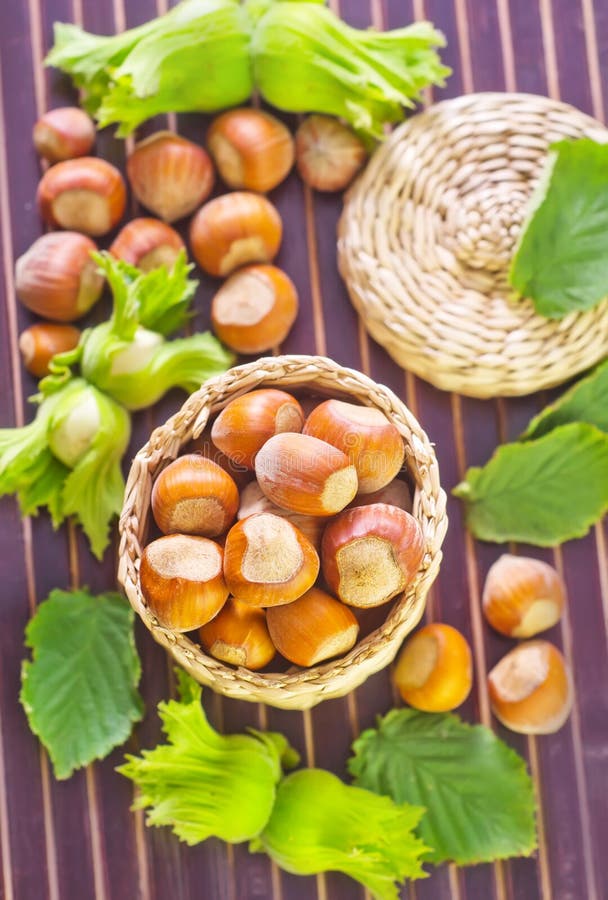 Hazelnuts stock image. Image of foodstuff, close, food - 32299671