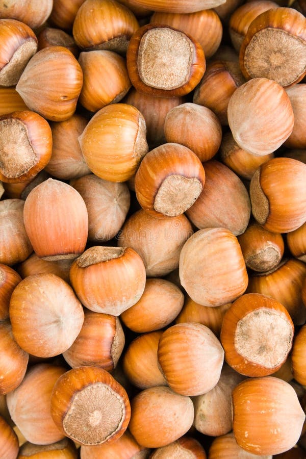Hazelnuts Natural Background Stock Photo - Image of close, ingredient ...