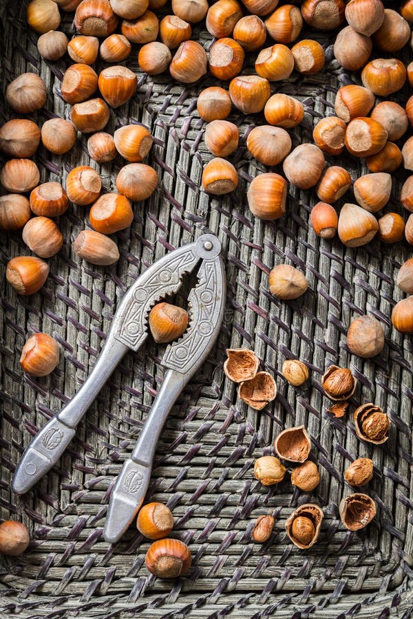 Hazelnuts with nutcracker stock photo. Image of craft - 27673986