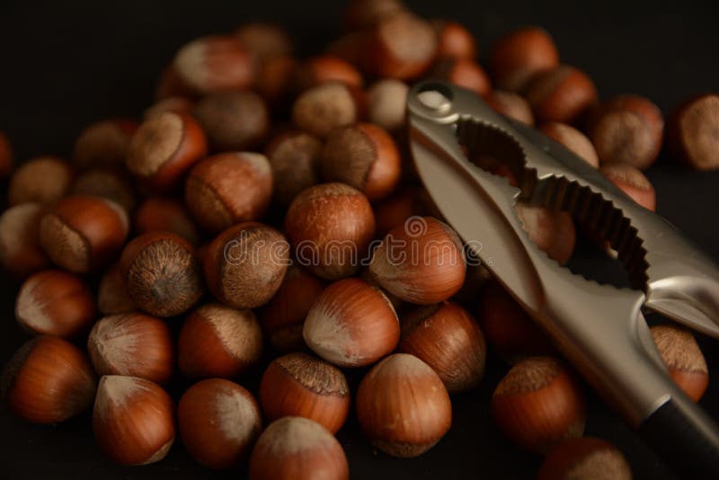 Hazelnuts with nutcracker stock photo. Image of cracker - 73954076