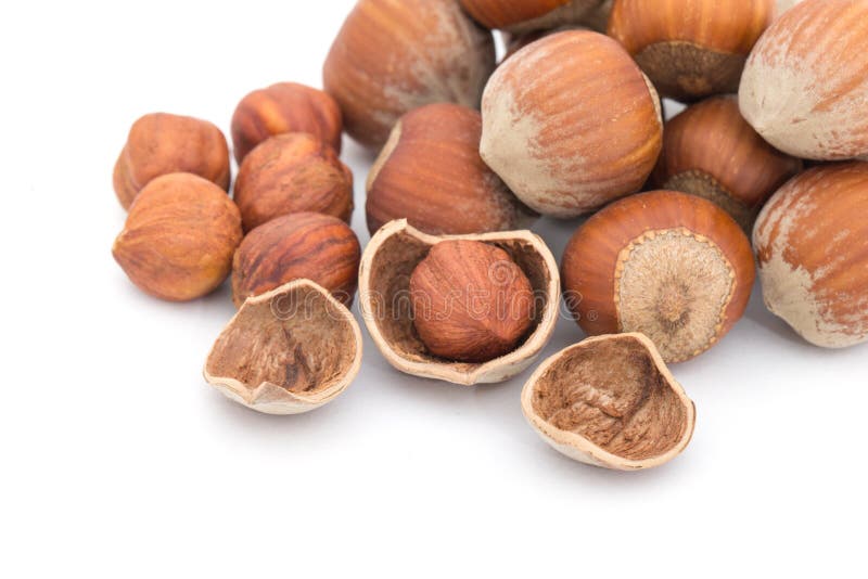 Hazelnuts stock image. Image of group, shell, nutrition - 268628045