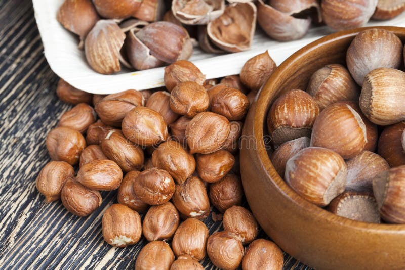 Hazelnuts Peeled from the Shell Stock Photo - Image of dried, seasonal ...
