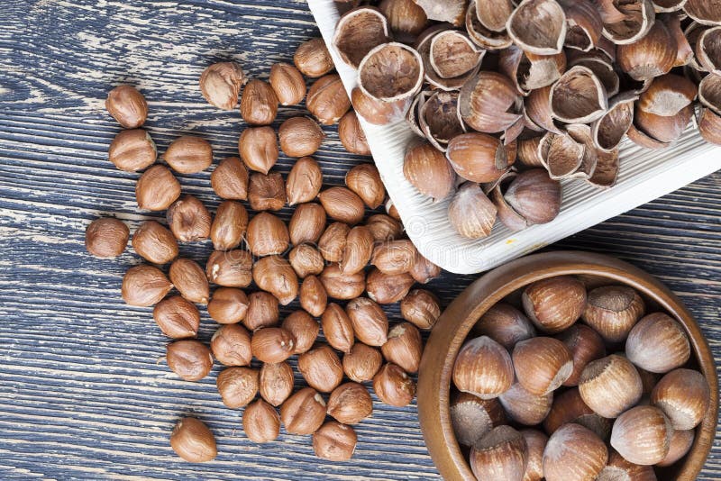 Hazelnuts Peeled from the Shell Stock Photo - Image of pile, ready ...