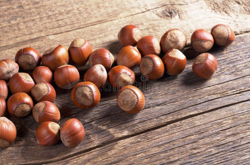 Hazelnuts on rustic table stock photo. Image of food - 107531742