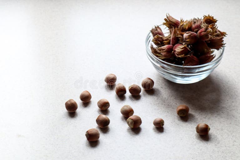 Hazelnuts Scattered on the Kitchen Table, a Cup of Nuts, Side View-the ...