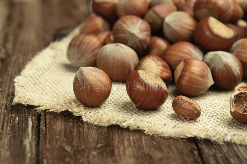 Hazelnuts in the Shell Close-up. Hazelnut on a Wooden Table. Natural ...