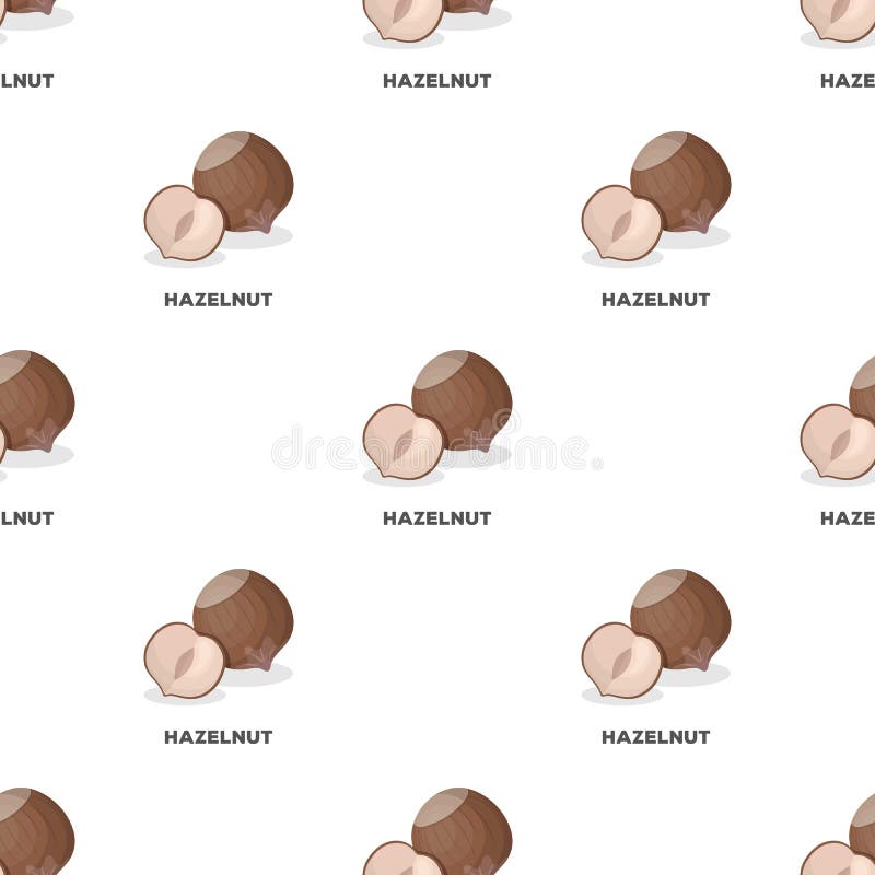 Hazelnuts in Shell.Different Kinds of Nuts Single Icon in Cartoon Style ...