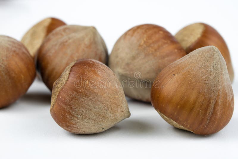 Hazelnuts in Shell on a Kitchen Table. Hazel Fruit As an Addition To ...