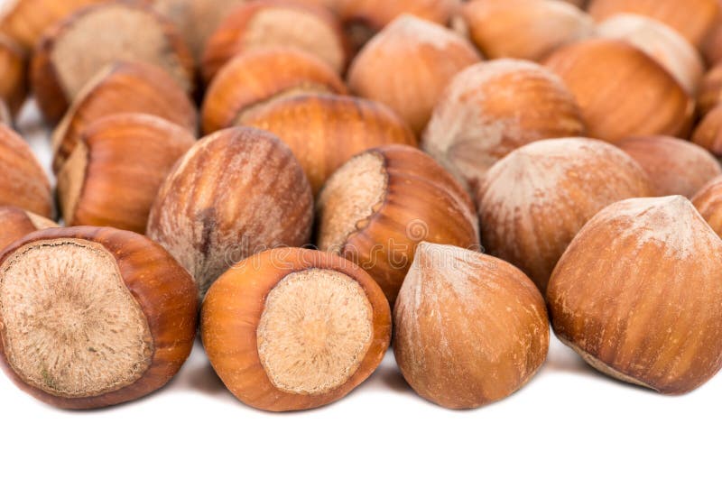 Hazelnuts in shell stock photo. Image of group, snack - 82540018