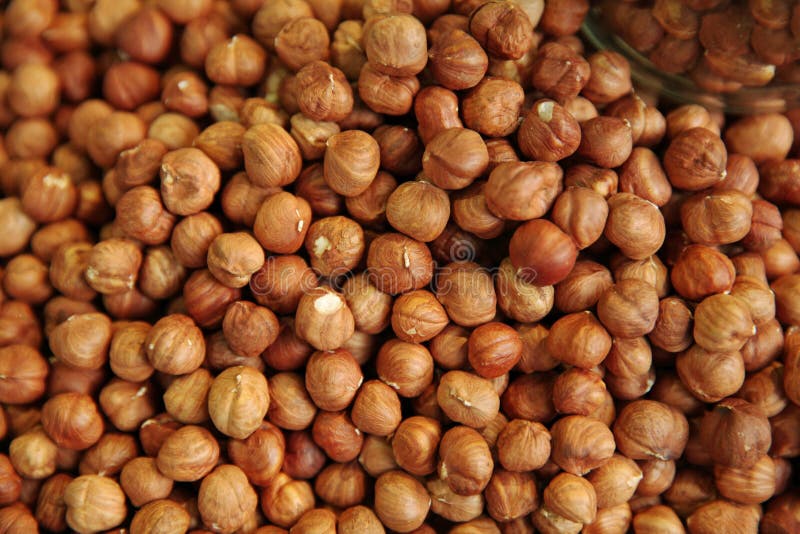 Hazelnuts without Shells. Background of Many Crop Nuts Stock Photo ...