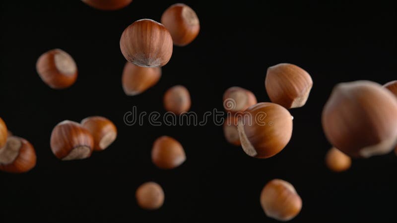 Hazelnuts in Shells Flying on the Black Background. Shot in 1000fps ...