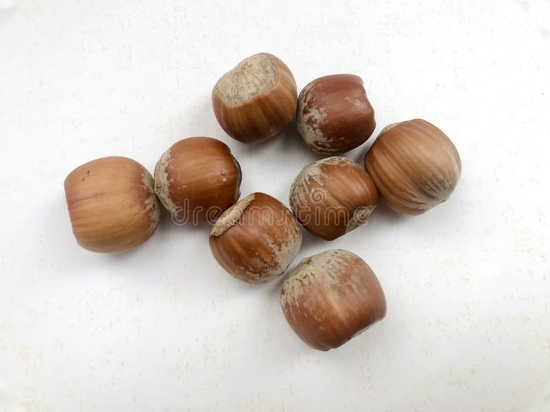 Hazelnuts in Shells on a White Background Stock Image - Image of fruit ...