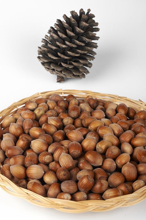 Hazelnuts stock image. Image of nuts, commodity, fruit - 45073435