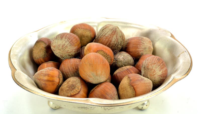 Hazelnuts stock photo. Image of roasted, small, healthy - 32576254