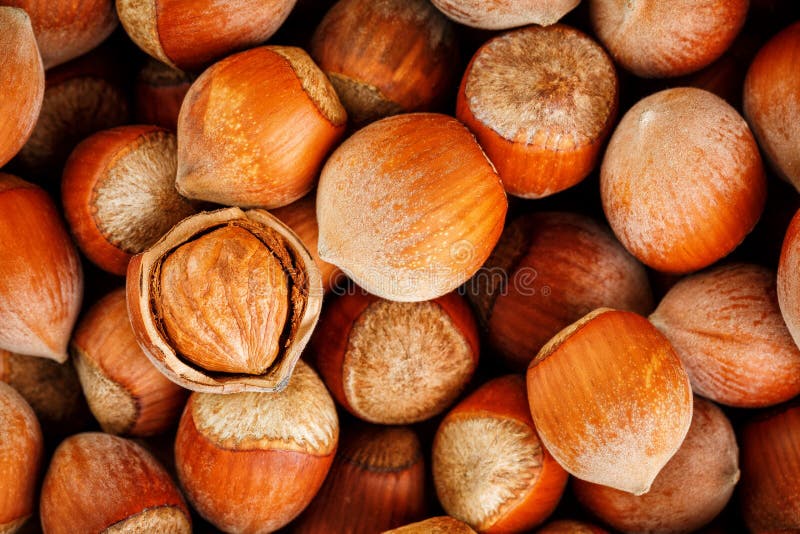 Hazelnuts. Stack of Hazelnuts. Food Background. Hazelnut Background ...