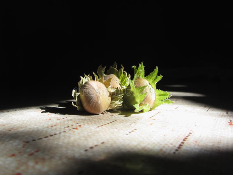 Hazelnuts on the Table Illuminated by the Sunshine in the Dark Stock ...