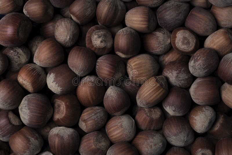 Hazelnuts wallpaper stock image. Image of ingredient - 108048583