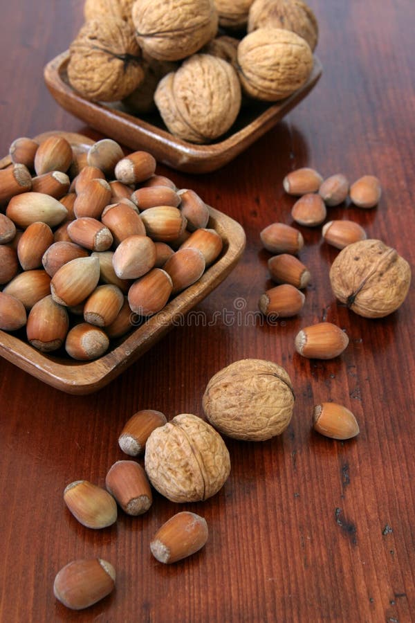 Hazelnuts and walnuts stock image. Image of life, autumn - 11767645