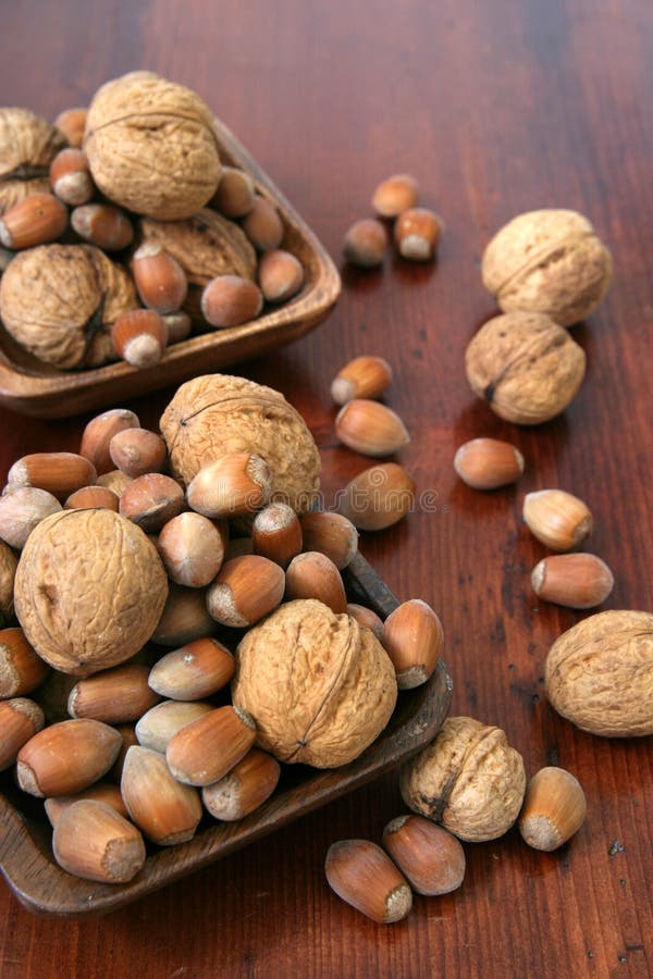 Hazelnuts and walnuts stock image. Image of eating, delicious - 12028911