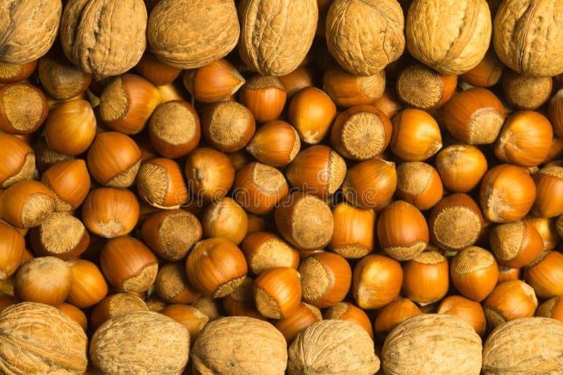 Hazelnuts and Walnuts Background Stock Photo - Image of protein ...