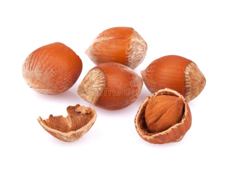 Hazelnuts on White Background Stock Image - Image of organic ...